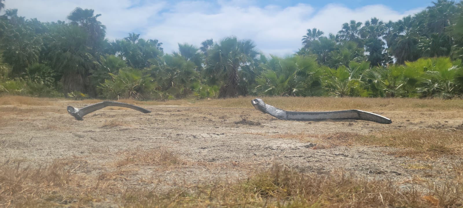 Migrante – BEATRIZ CORTEZ